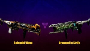 How to Get Witherhoard Catalyst with the Exotic + Ornaments