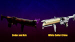 How to Get Witherhoard Catalyst with the Exotic + Ornaments