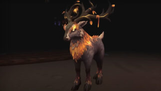 How to get all WoW Druid forms from Dragonflight Patch 10.2