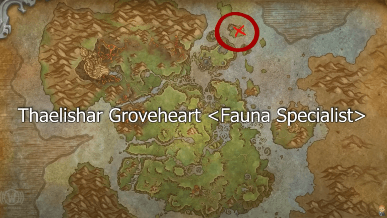 So erhalten Sie alle Druide Forms im Dragonflight Patch 10.2