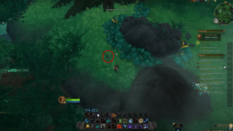 How to get all WoW Druid forms from Dragonflight Patch 10.2