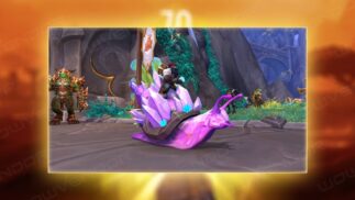 Dragonflight Endgame: What to Do at Level 70? | WowVendor